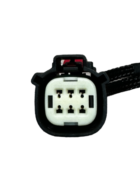 6 Pin Connector / Harness Main PNDM 6-Pin – MiamiStar.com