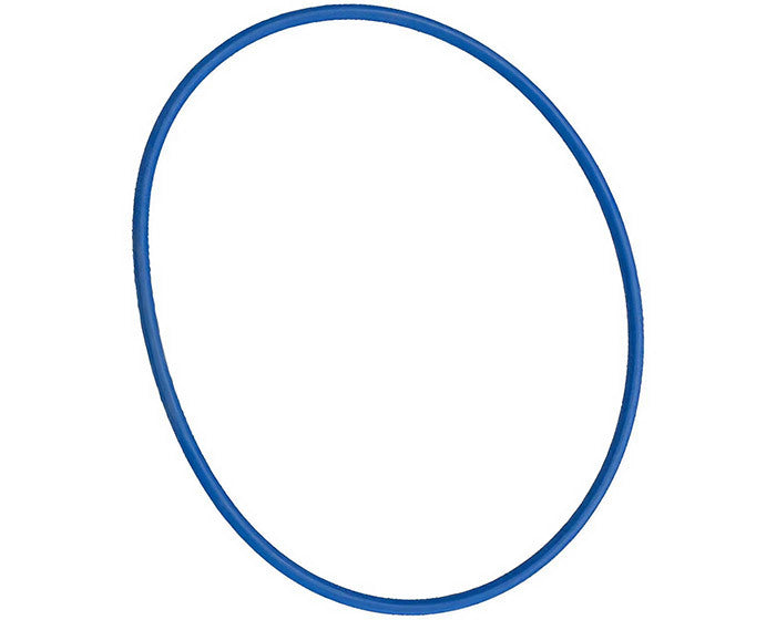 Fuel Pump Drive Seal Ring Fits Detroit Diesel 60 Series – MiamiStar.com