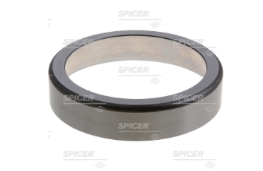 Bearing Cup, Diff D155 / D156 / D155D(P) – MiamiStar.com